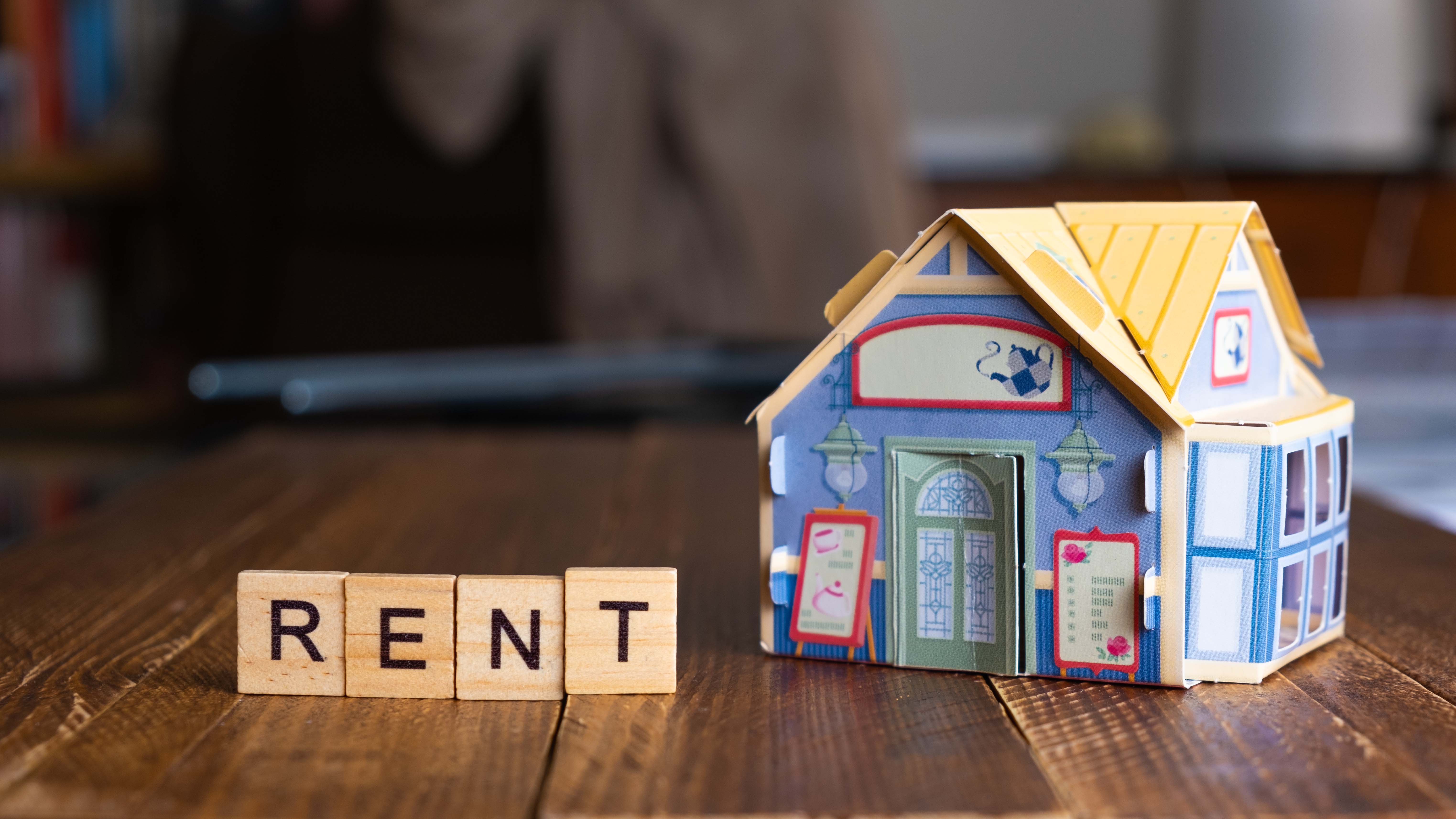 What is rentvesting?